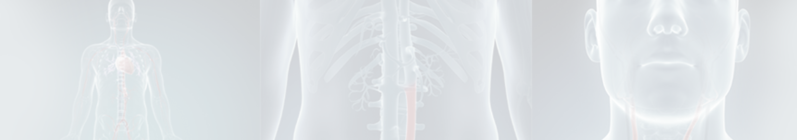 Síndrome de Cockett | Cirurgião Vascular | Dr. Daniel Benitti